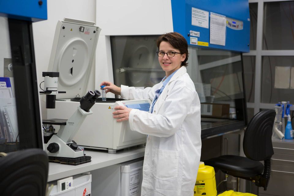 - Cure Brain Cancer Foundation