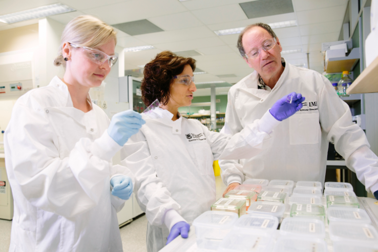 - Cure Brain Cancer Foundation